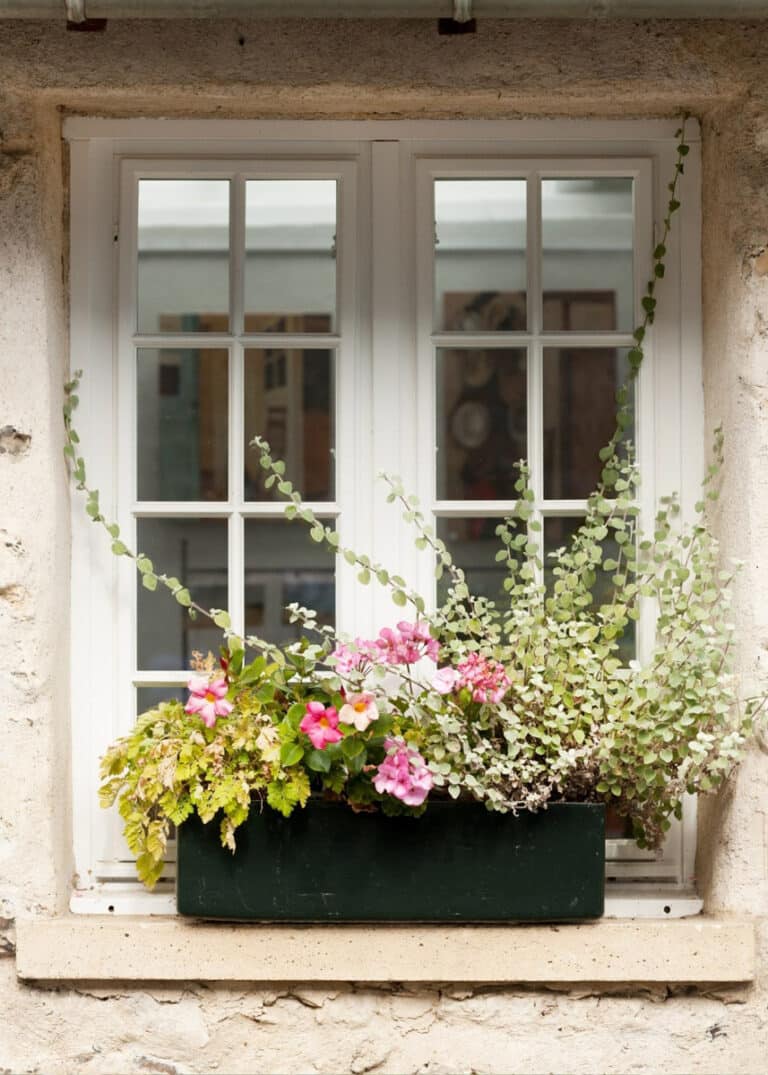 30+ Cottage Flowers To Grow And Love - Green Garden Cottage
