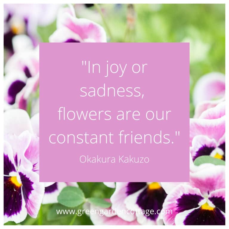 68 Of The Best Flower Quotes With Photos - Green Garden Cottage
