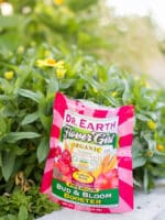 Best Fertilizer For Flowers (How To Get Bigger Blooms!) - Green Garden ...