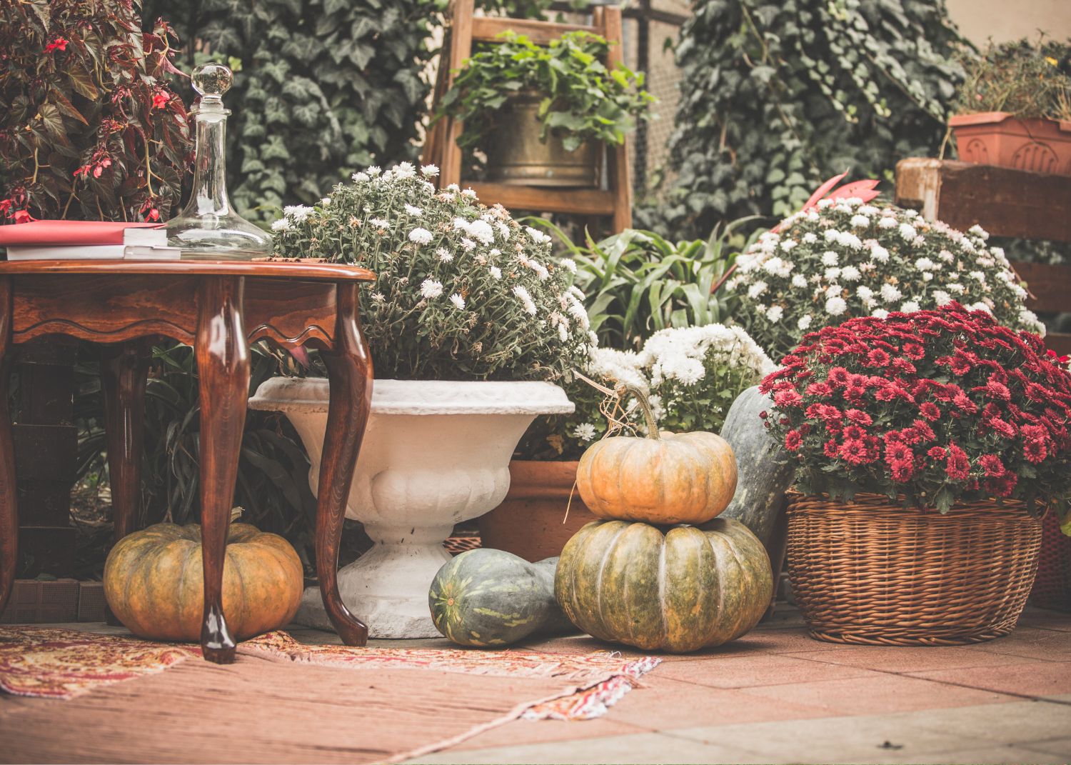 23 Fall Annuals (Colorful Fall Plants!) - Green Garden Cottage