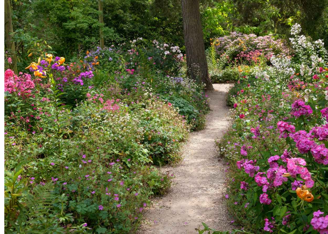 How To Design A Whimsical Forest Garden In Your Own Backyard - Green ...